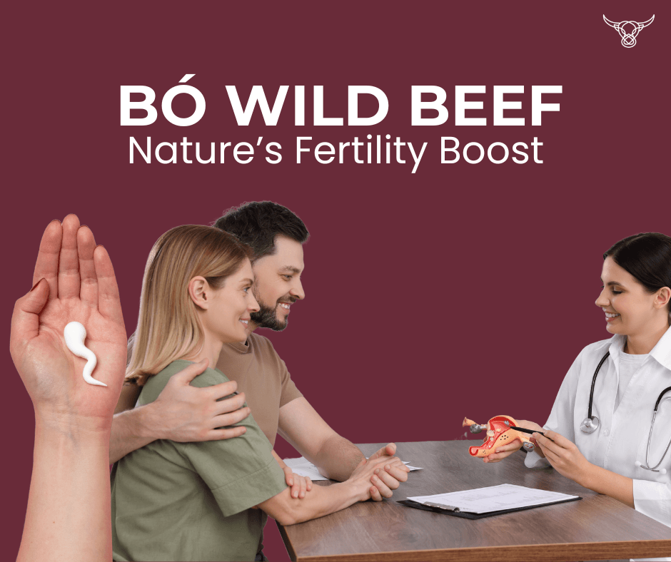 Enhance Fertility for Men and Women with Bó Wild Beef - Bo Wild Beef